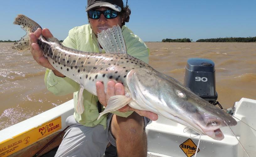 Reconquista, Del 11 al 13 de Octubre, 37º Concurso Argentino de Pesca ...